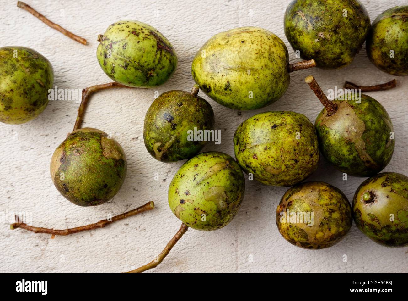 Arbre Mangaga Et Fruit Banque d'image et photos - Alamy