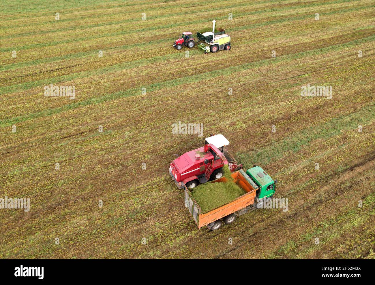 Récolteuse-hacheuse pour la coupe d'herbe pour l'ensilage dans les ...