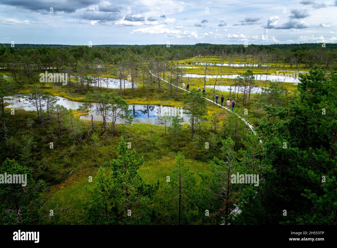 Viru raba Banque de photographies et d’images à haute résolution - Alamy