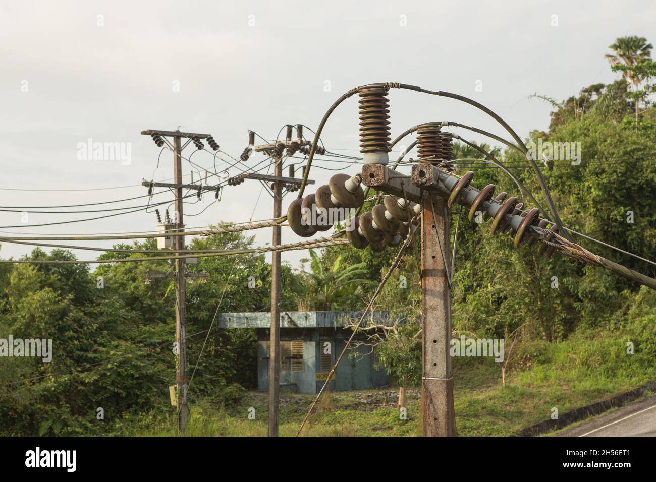 Famille d'isolants Banque de photographies et d’images à haute ...