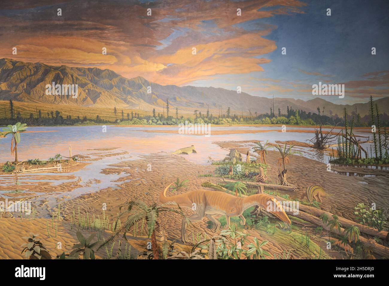 Triassic era Banque de photographies et d’images à haute résolution - Alamy