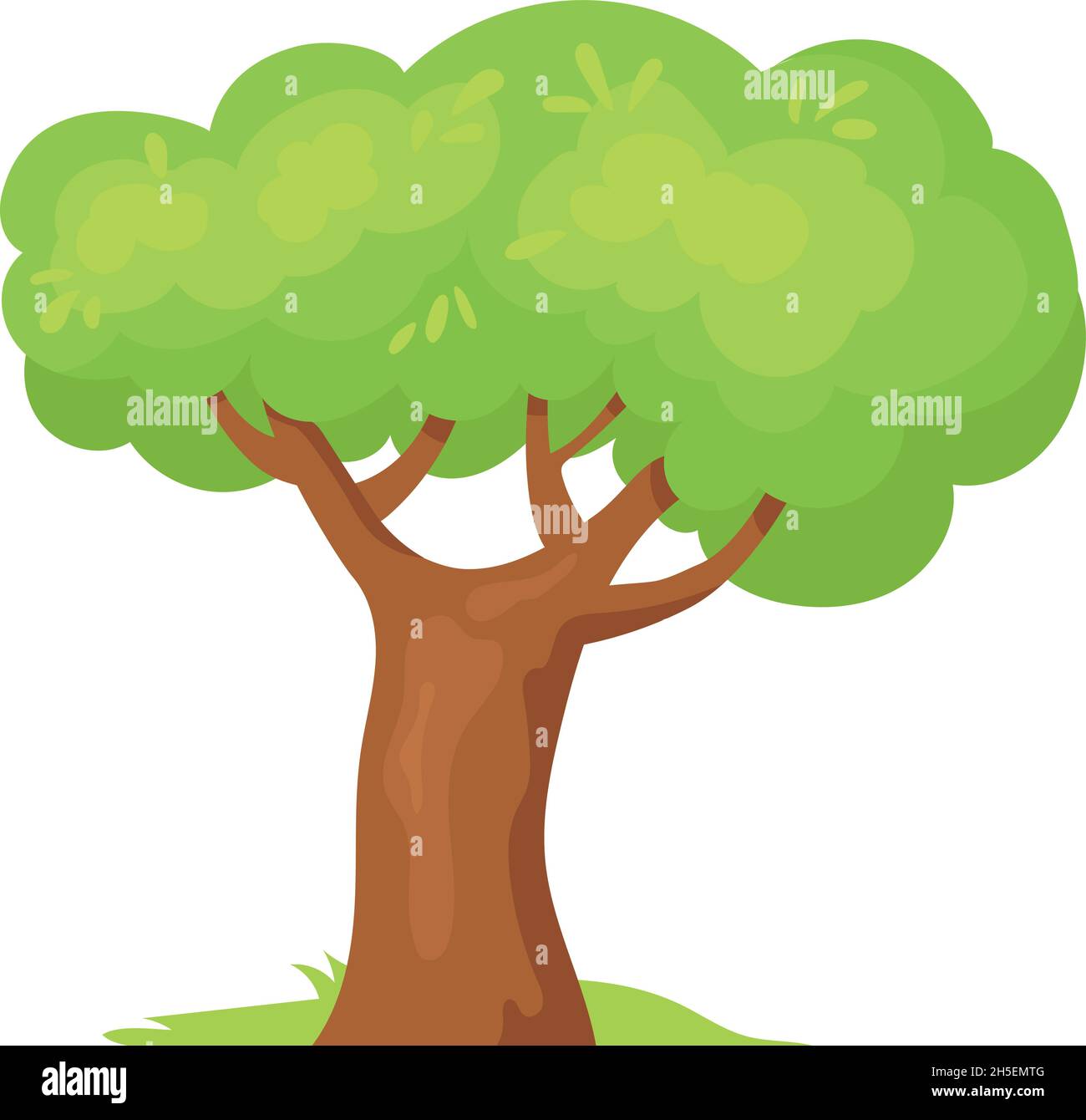 Arbre 2D.Espèce arbres de forêt verts, conception vectorielle isolée ...