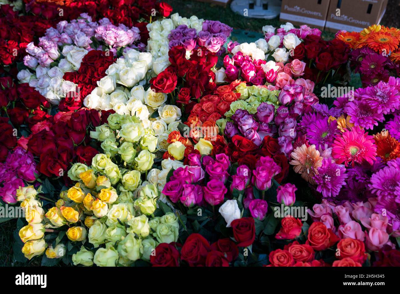 Des fleurs attendent d'être placées lors d'une commémoration du ...