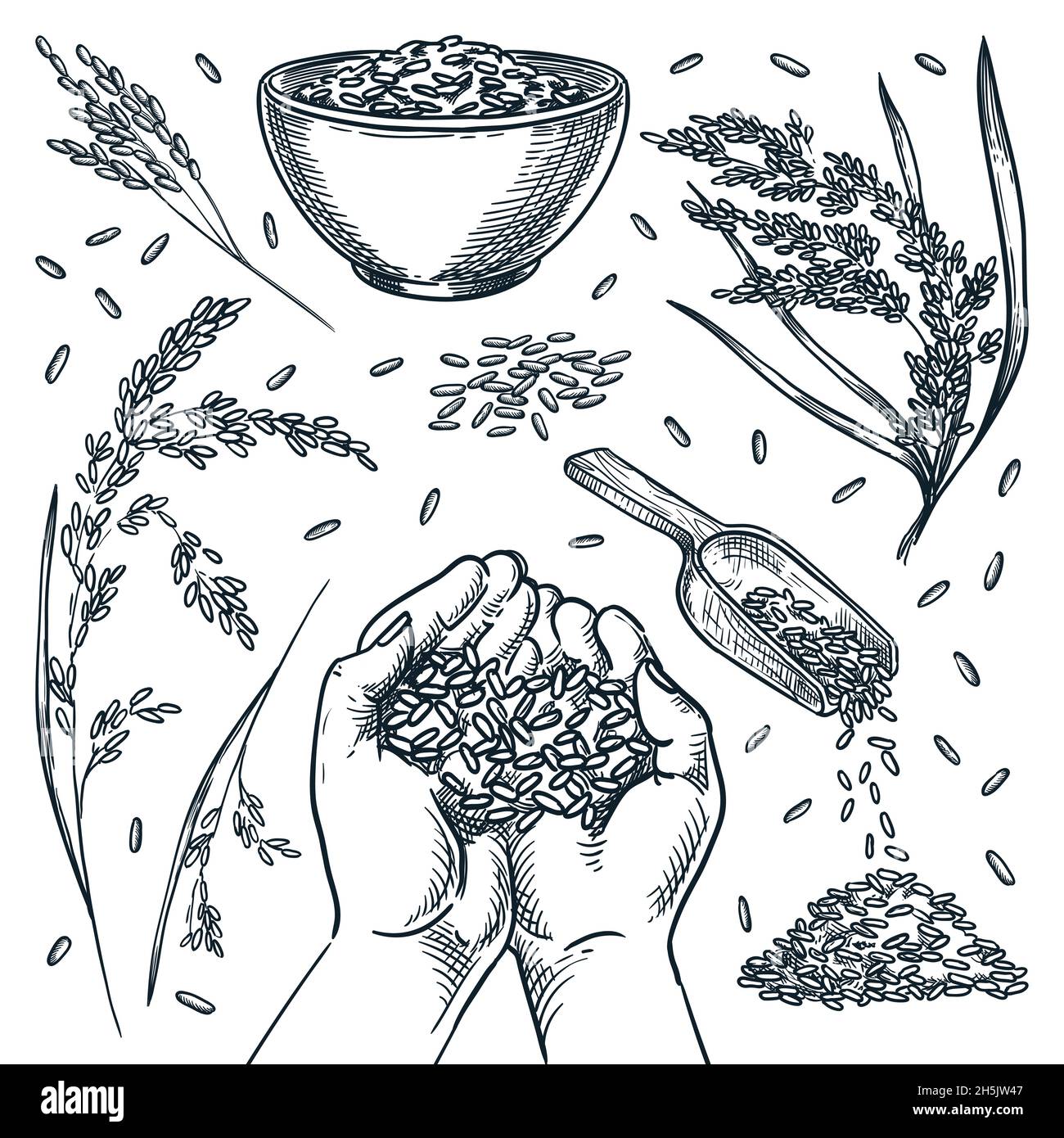 Bol de riz dessin Banque d'images vectorielles - Page 2 - Alamy