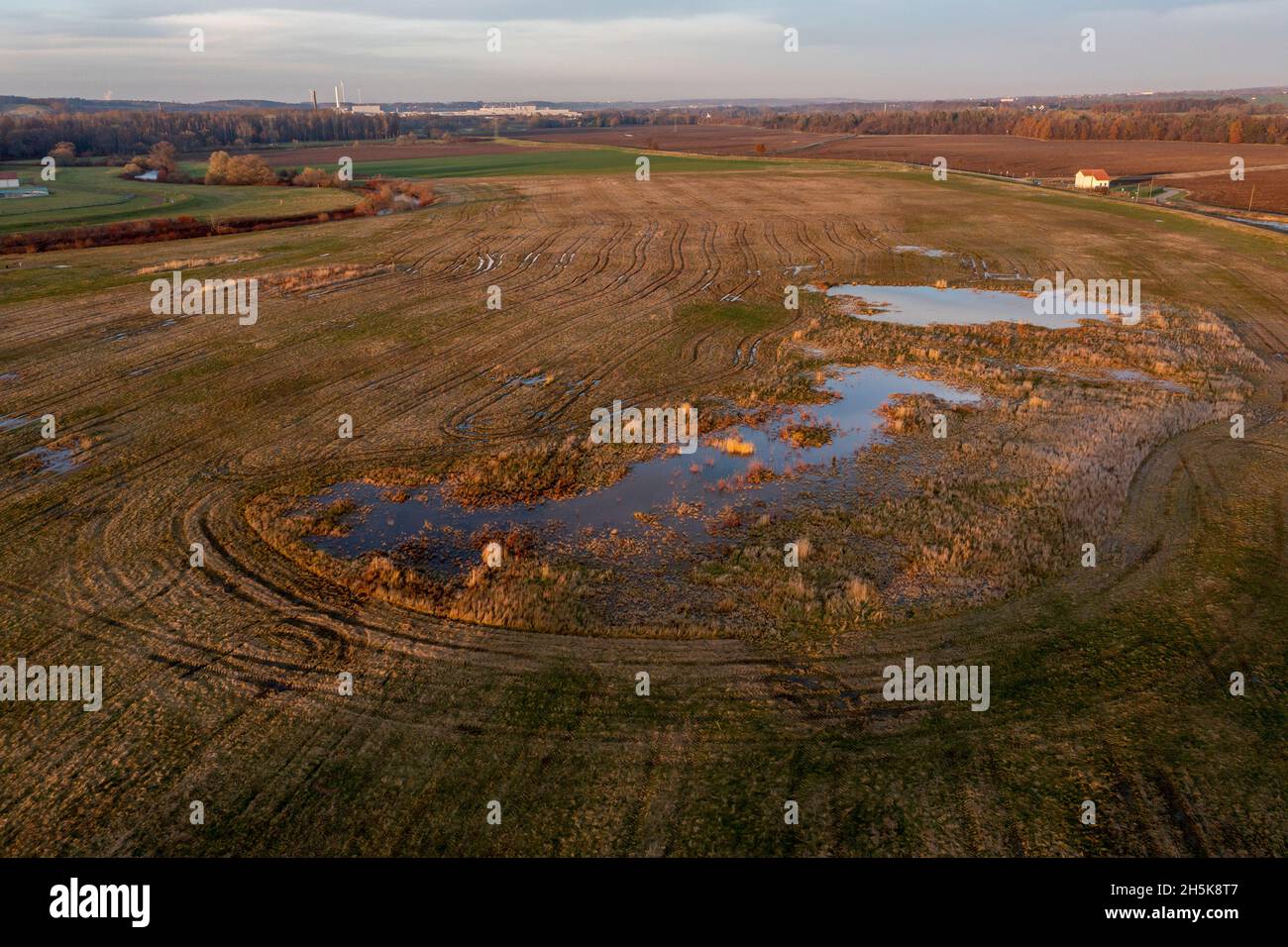 10 novembre 2021, Saxe, Crossen: Le soleil du soir brille sur un ...