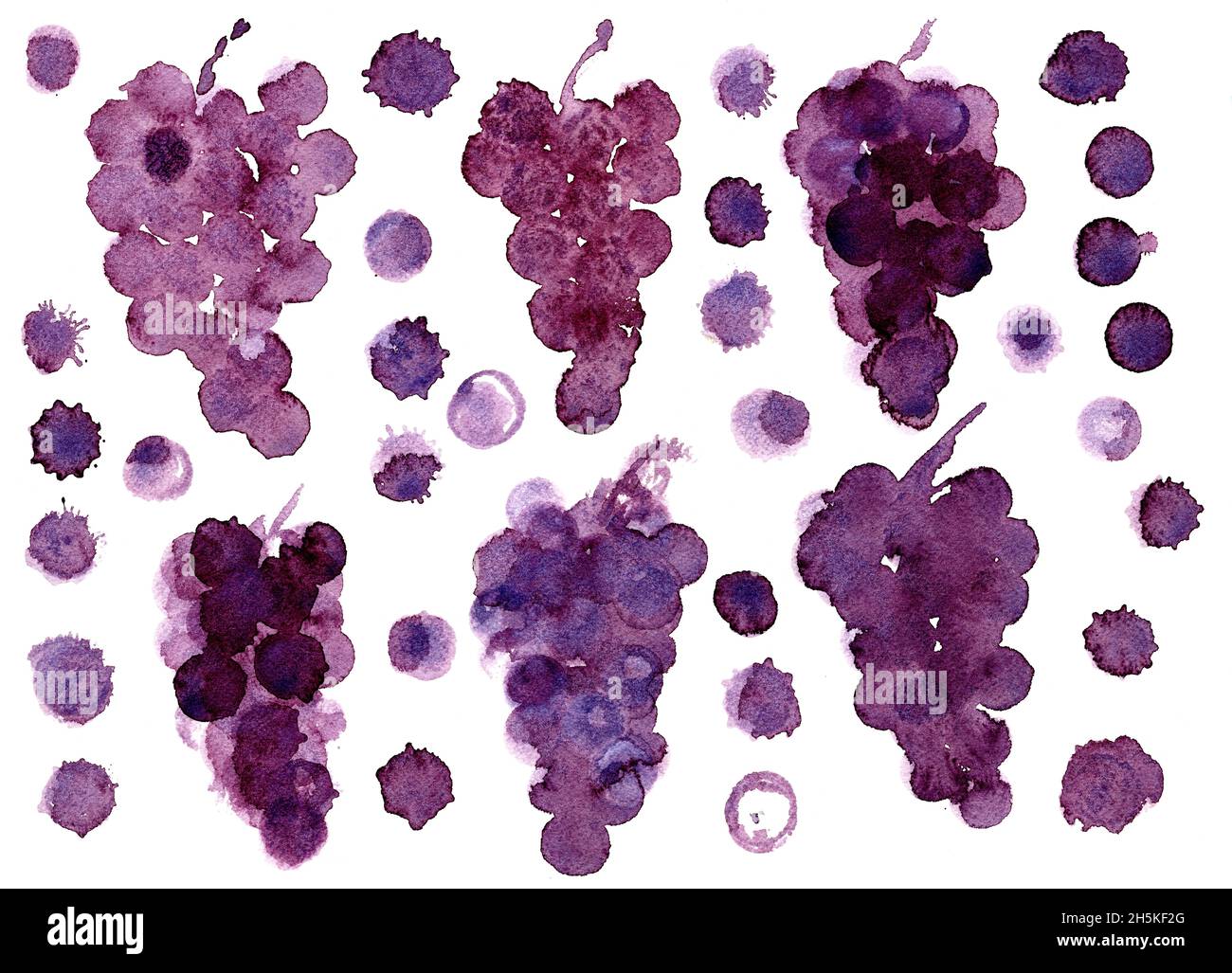 Dessin de grappe de raisin Banque de photographies et d’images à haute ...