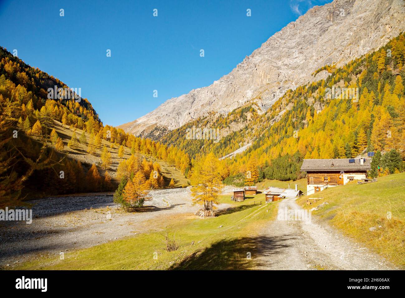 Val zebru Banque de photographies et d’images à haute résolution - Alamy