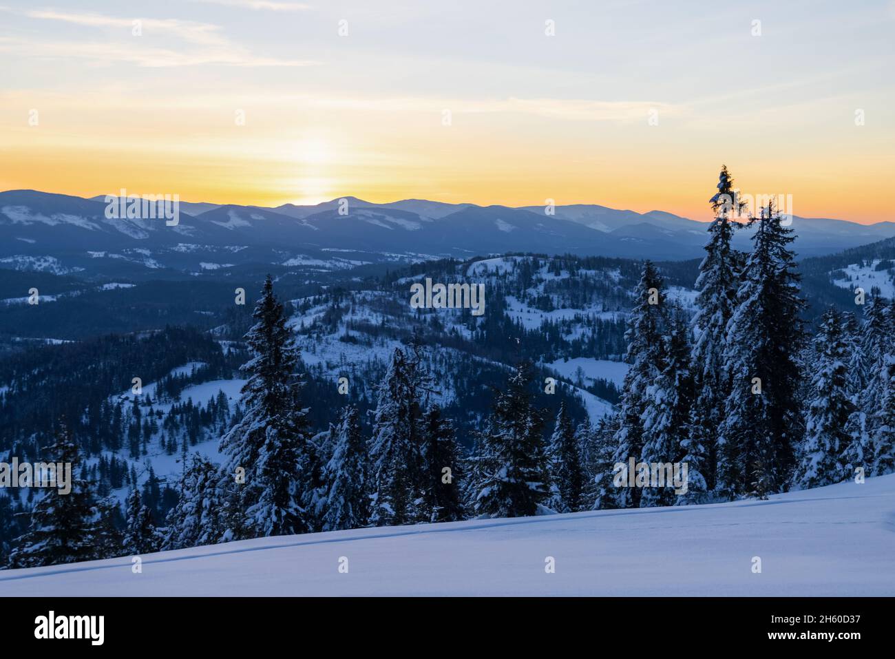 Paysage ensoleillé fascinant d'une forêt d'hiver situé sur une pente ...
