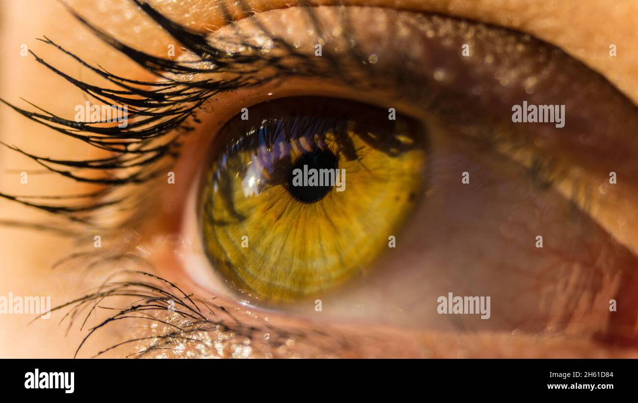 J'espionne avec mon petit oeil Banque de photographies et d’images à ...