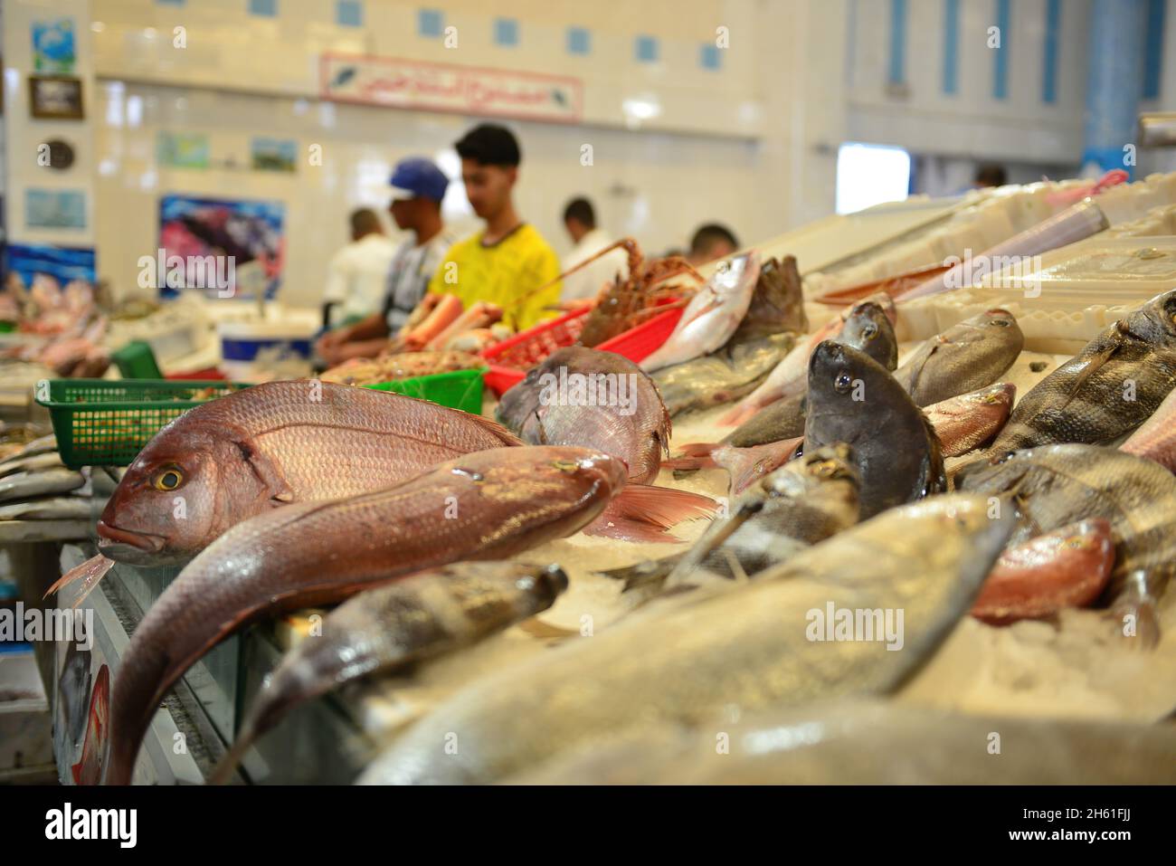 Marché berbère tanger maroc voyage Banque de photographies et d’images ...