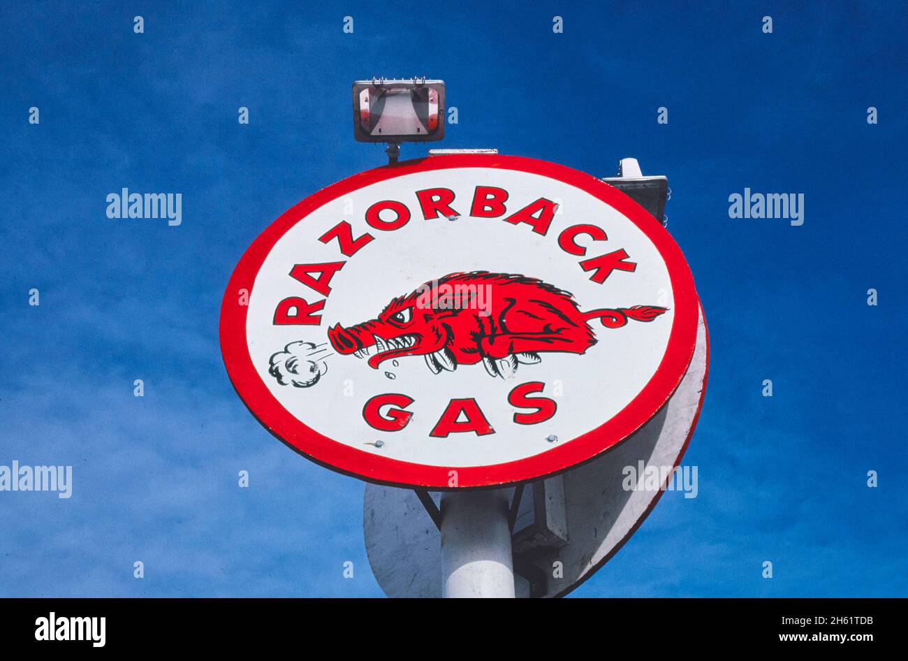 Razorback 1984 Banque de photographies et d’images à haute résolution ...