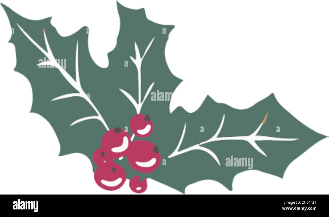 Arbustes à feuilles persistantes Banque d'images vectorielles - Alamy