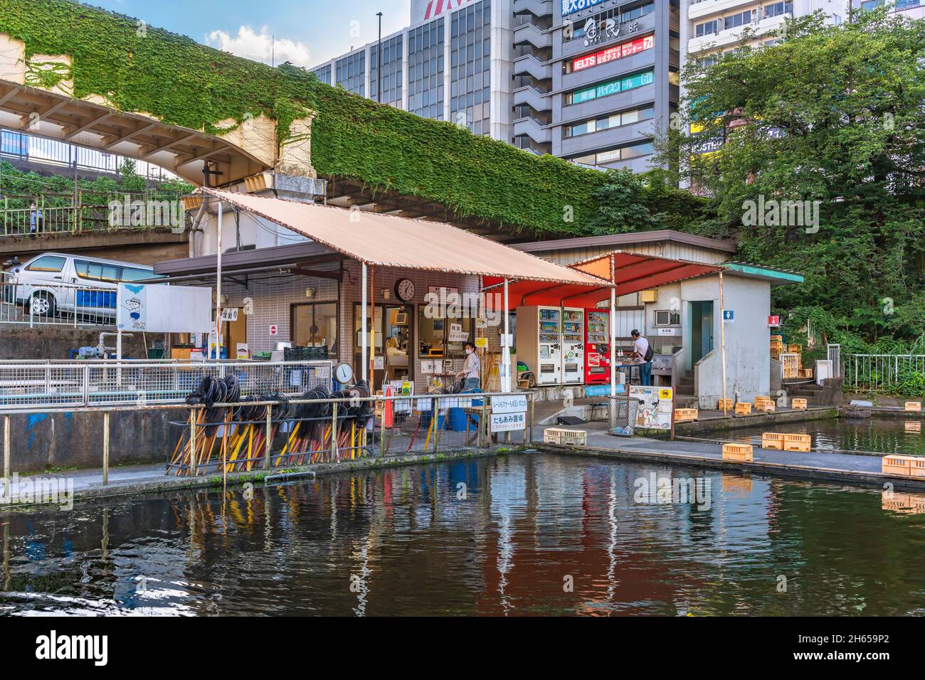 Ichigaya fish center Banque de photographies et d’images à haute ...