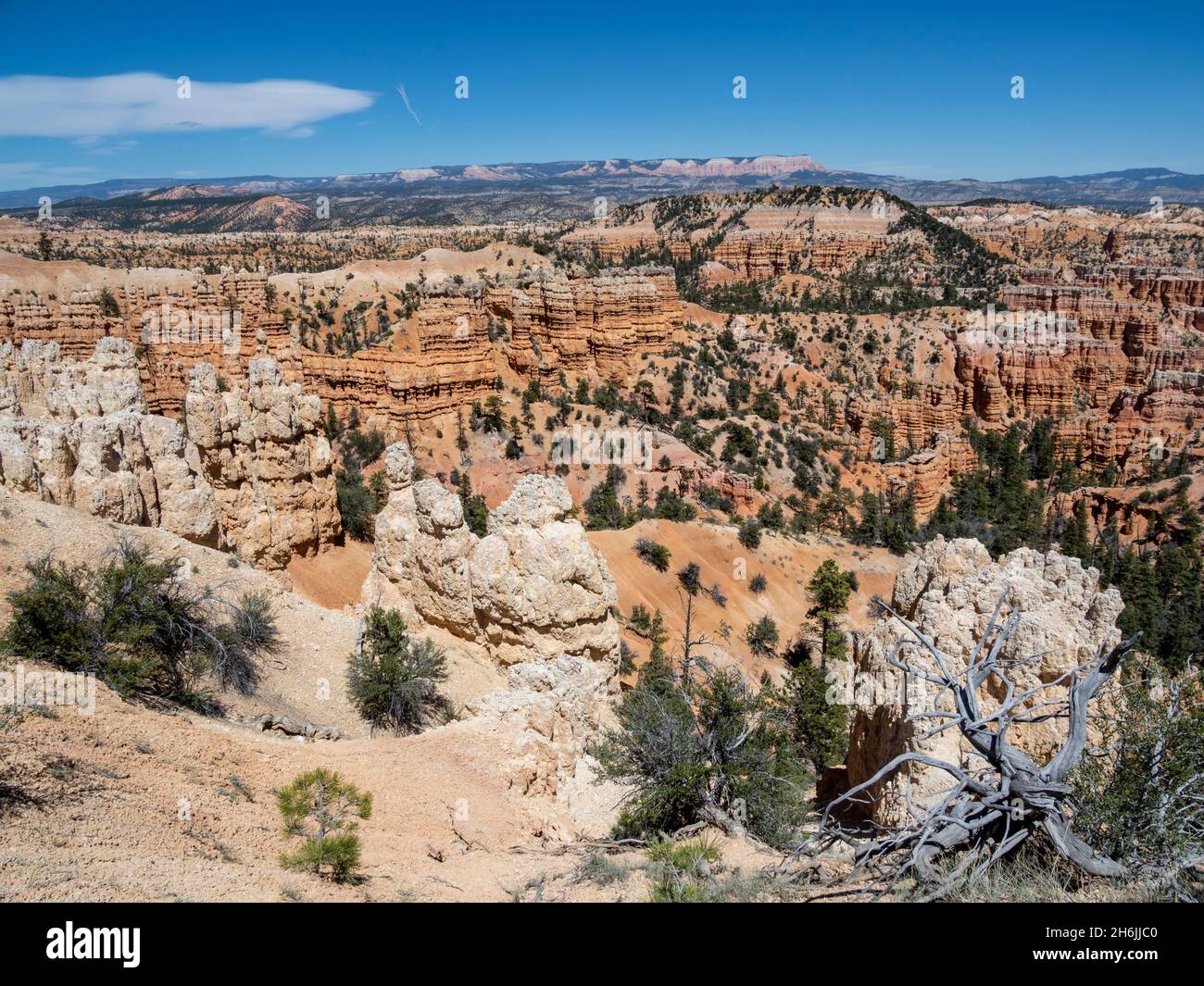 Fairyland canyon trail Banque de photographies et d’images à haute ...