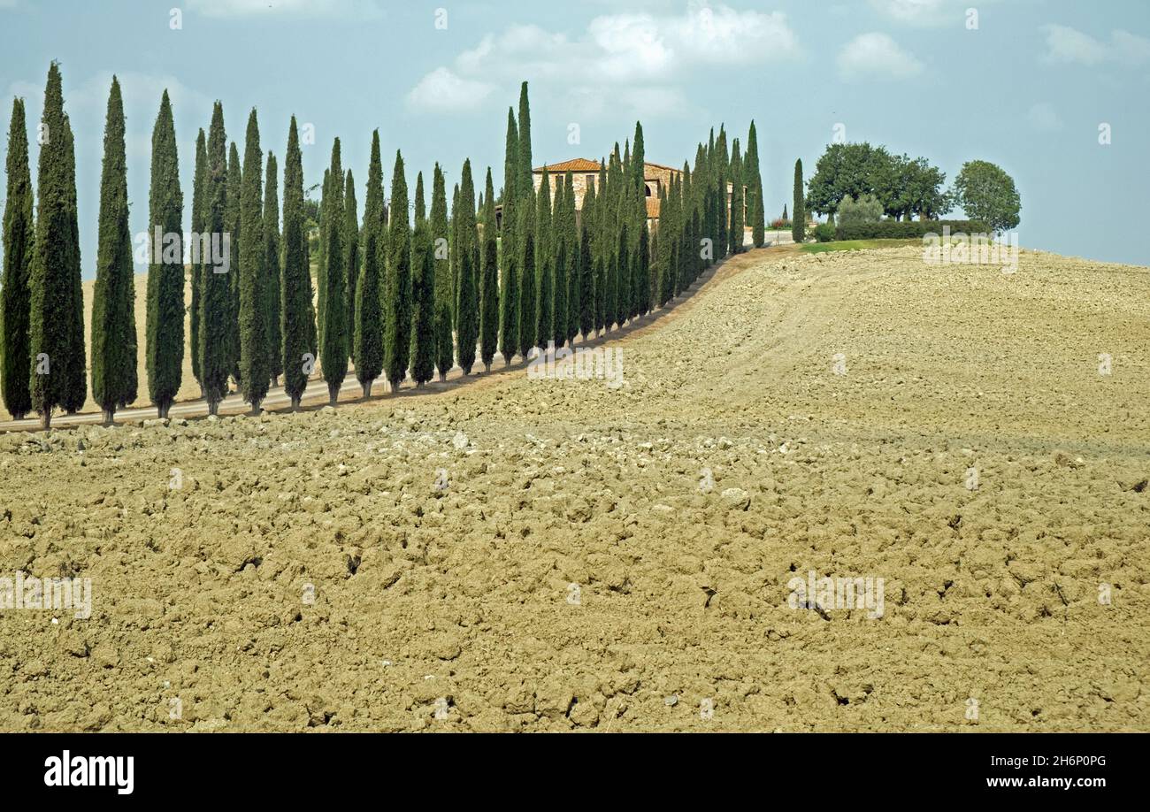 Accona desert Banque de photographies et d’images à haute résolution ...