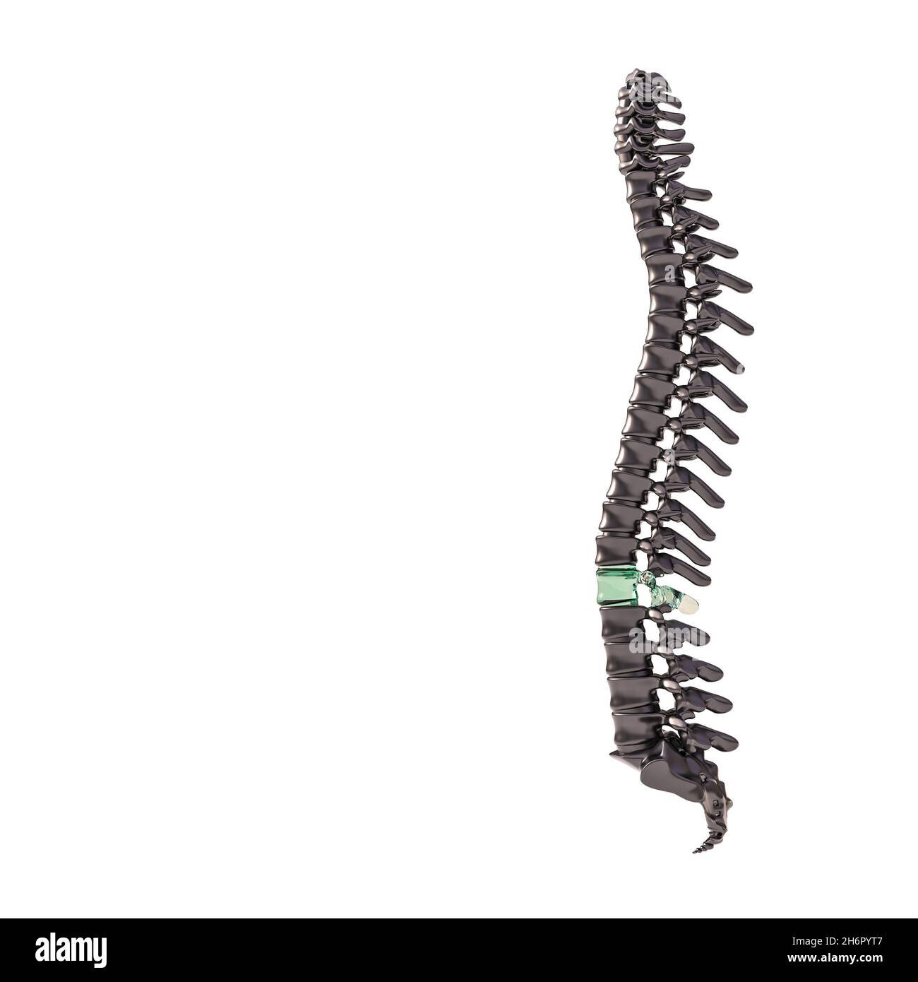 Human vertebral column Banque de photographies et d’images à haute ...
