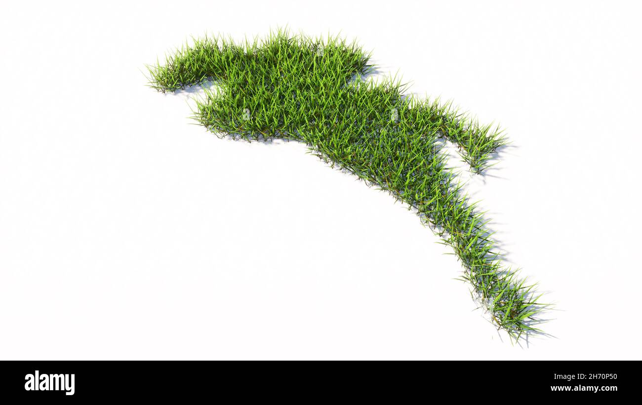 Concept ou conceptuel vert pelouse été symbole herbe forme isolé fond ...