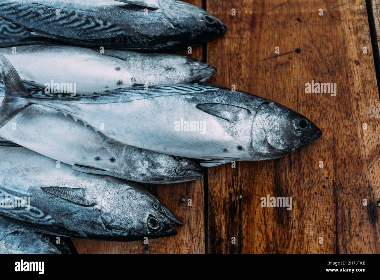 Le marché du poisson marin.Marché de rue.Vente de poisson frais.Poisson ...