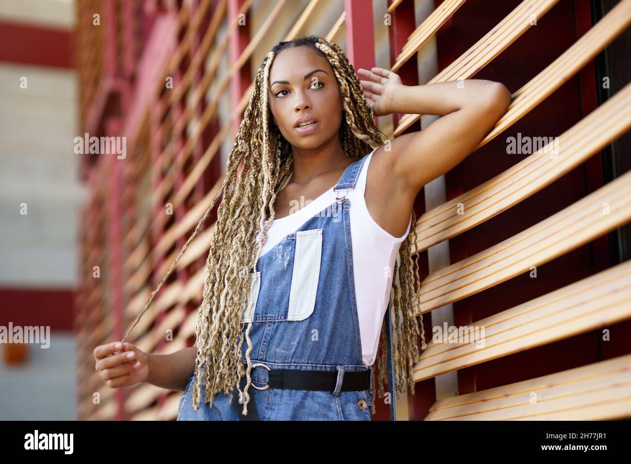 Fille Africaine Avec Des Dreadlocks Banque De Photographies Et Dimages