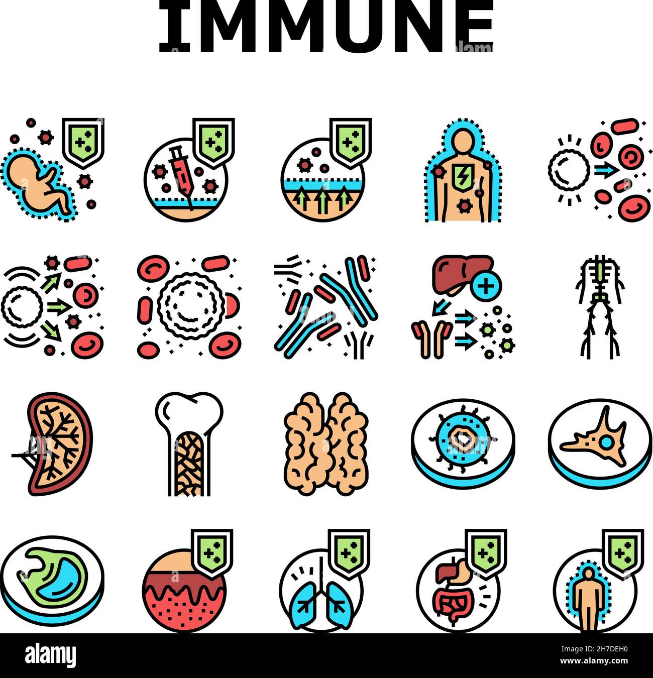 Système immunitaire maladie et traiter icônes définir le vecteur Image ...