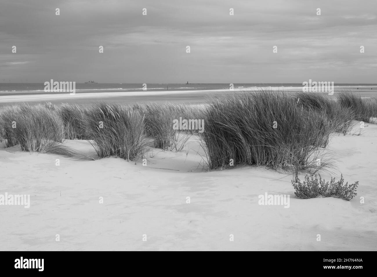 Paysage de dunes de la côte de la mer du nord Banque de photographies ...