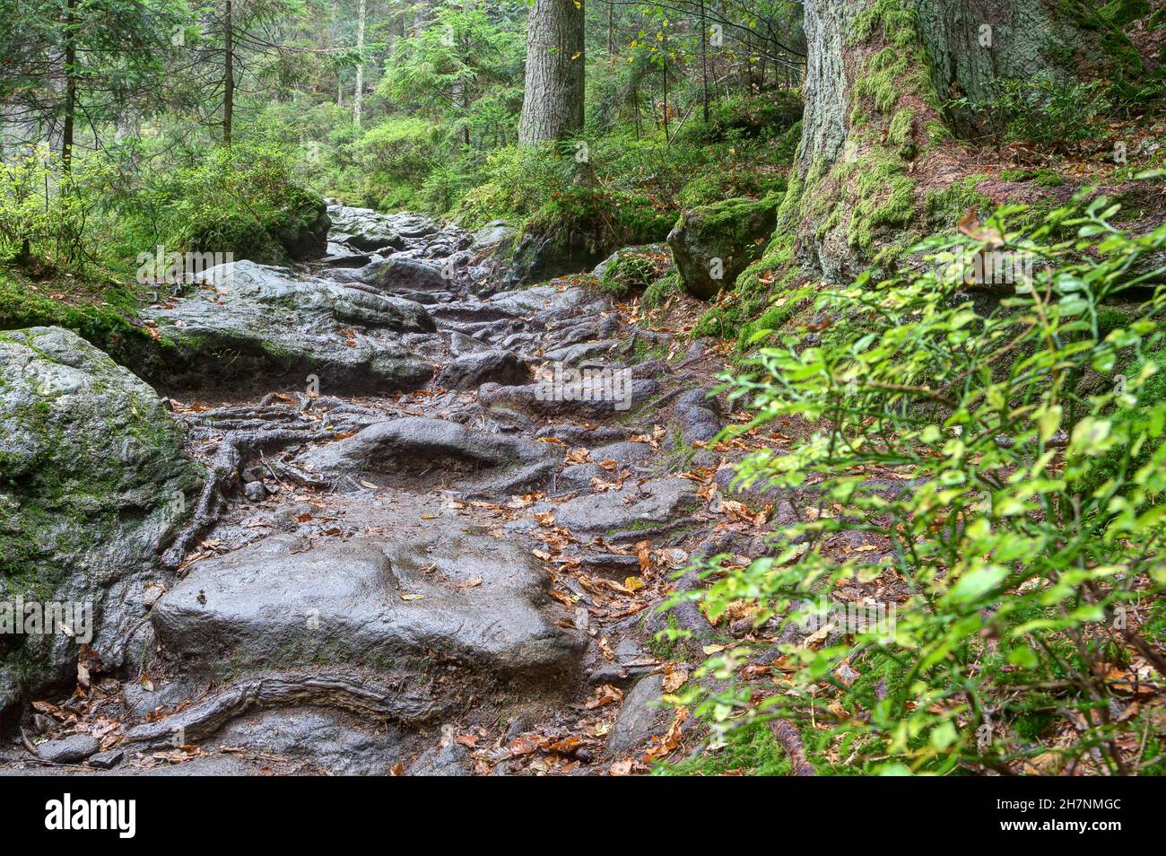 Gorges du rissloch Banque de photographies et d’images à haute ...