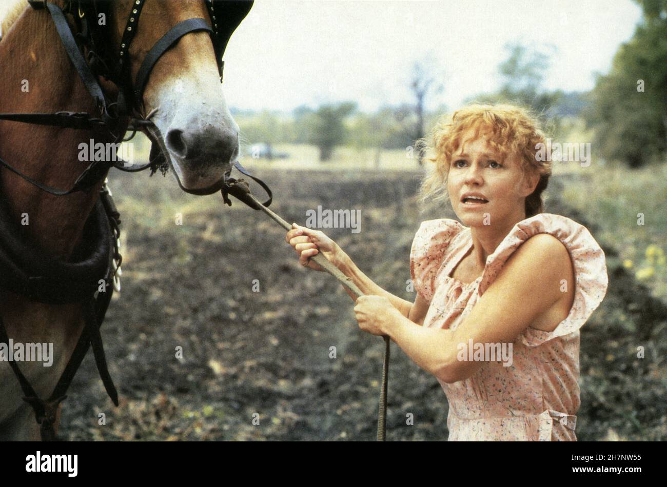 Sally benton Banque de photographies et d’images à haute résolution - Alamy