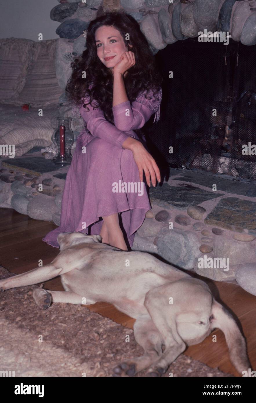 Los Angeles.CA.USA. BIBLIOTHÈQUE. Mary Crosby chez elle dans le canyon ...