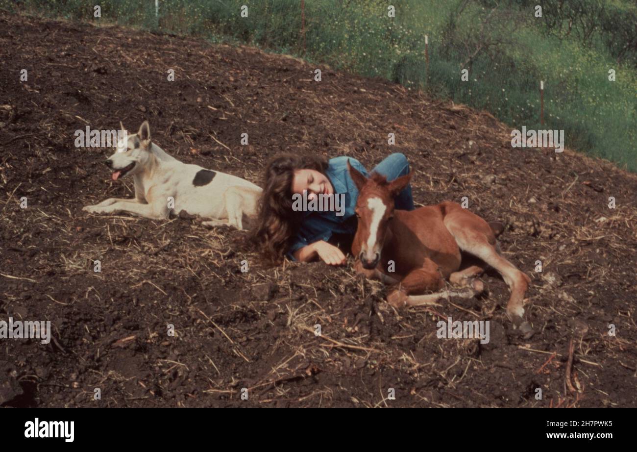 Los Angeles.CA.USA. BIBLIOTHÈQUE. Mary Crosby chez elle dans le canyon ...