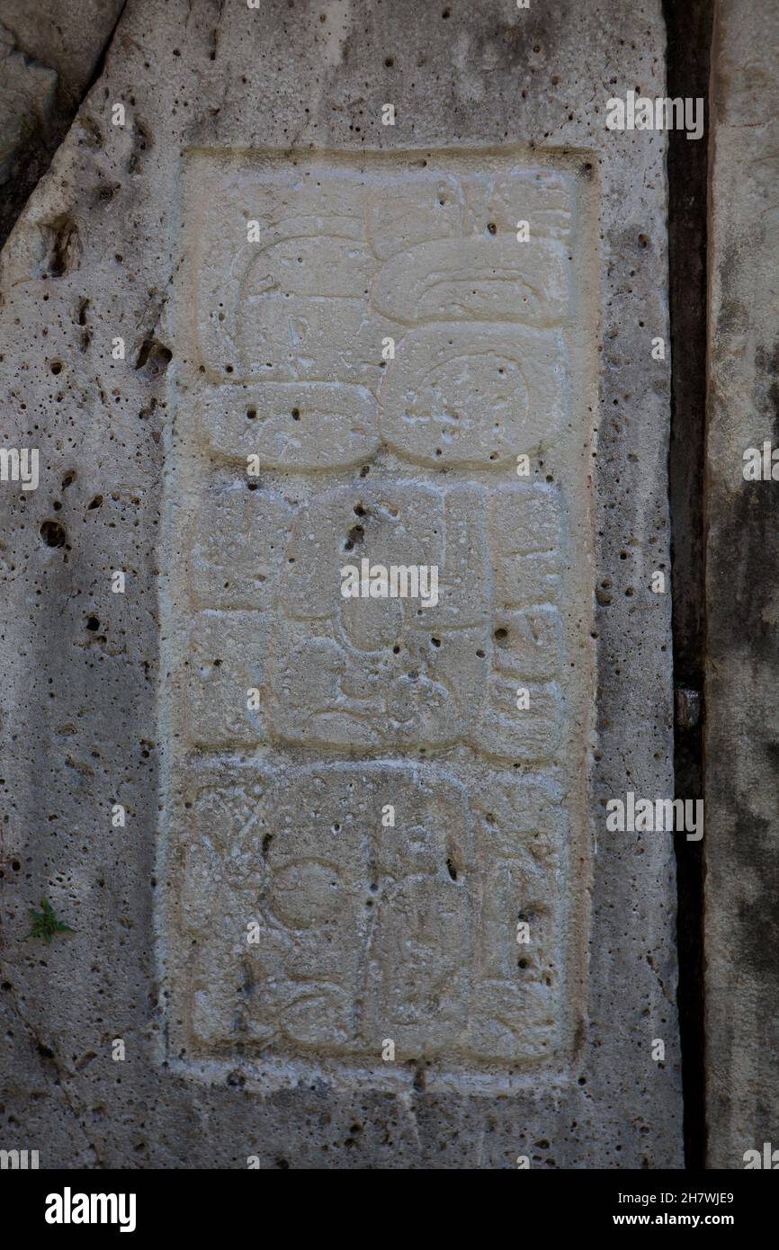 Sculptures et sculptures anciennes du bas maya situées dans le bâtiment ...