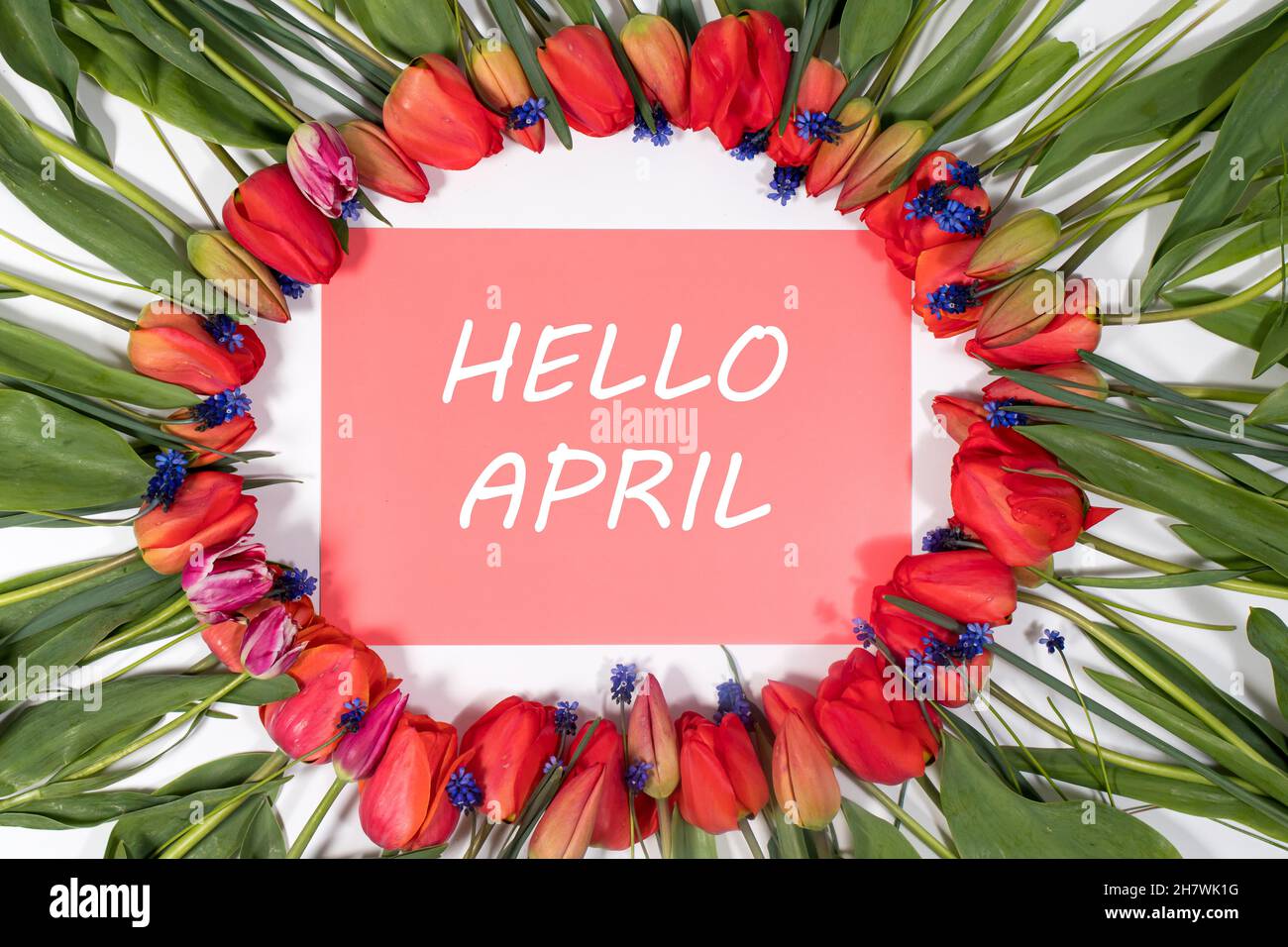 Bonjour avril Banque de photographies et d’images à haute résolution ...