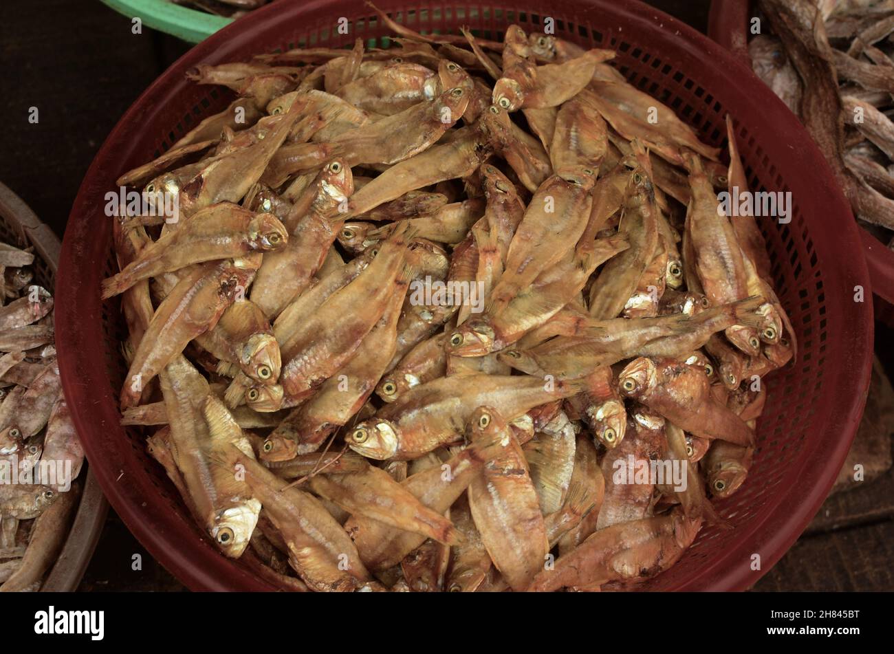 Espada fish Banque de photographies et d’images à haute résolution ...