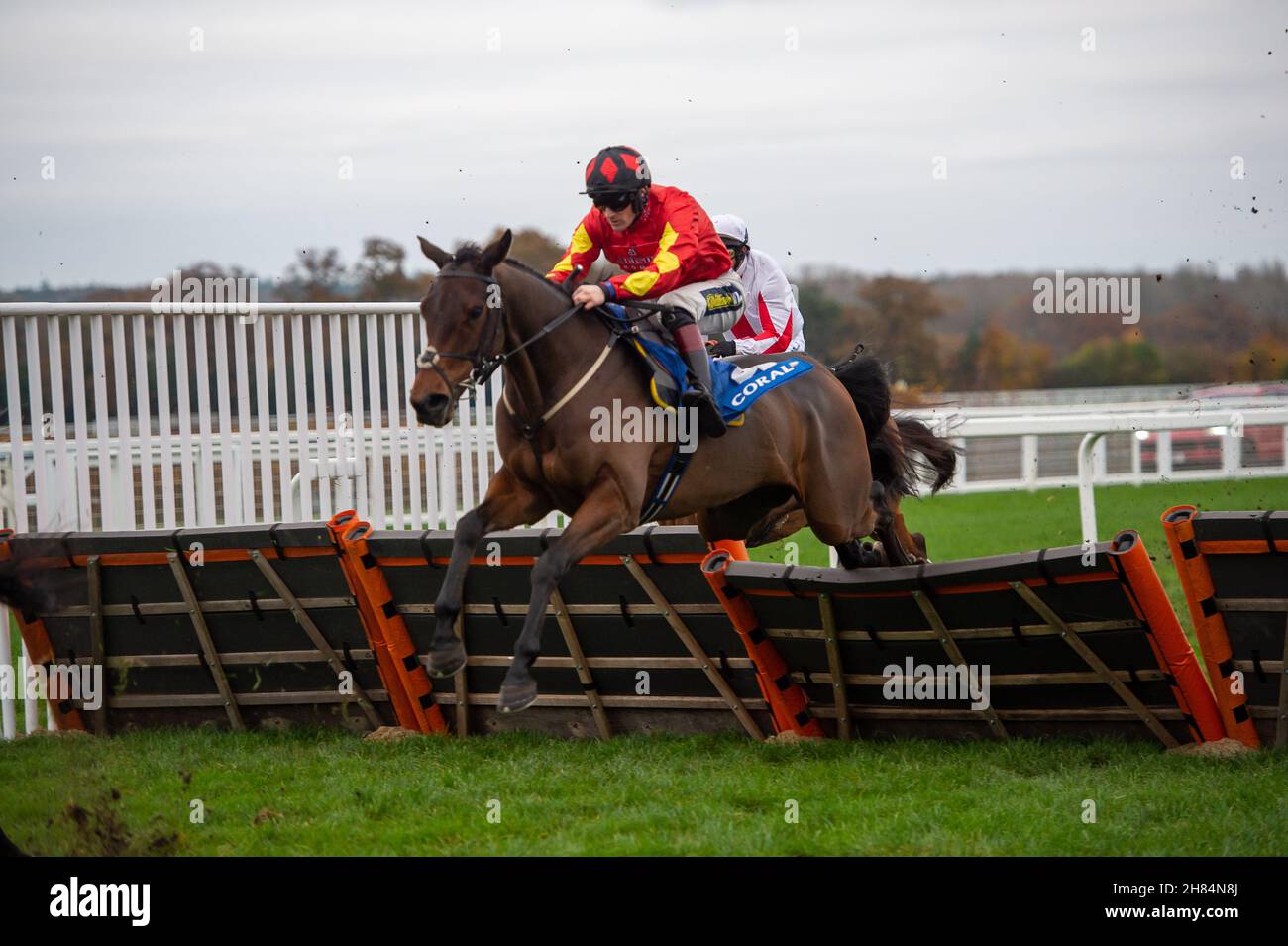 Ascot, Berkshire, Royaume-Uni.20 novembre 2021.Guard Your Dreams ...