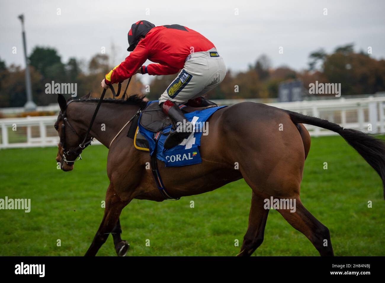 Ascot, Berkshire, Royaume-Uni.20 novembre 2021.Guard Your Dreams, monté ...
