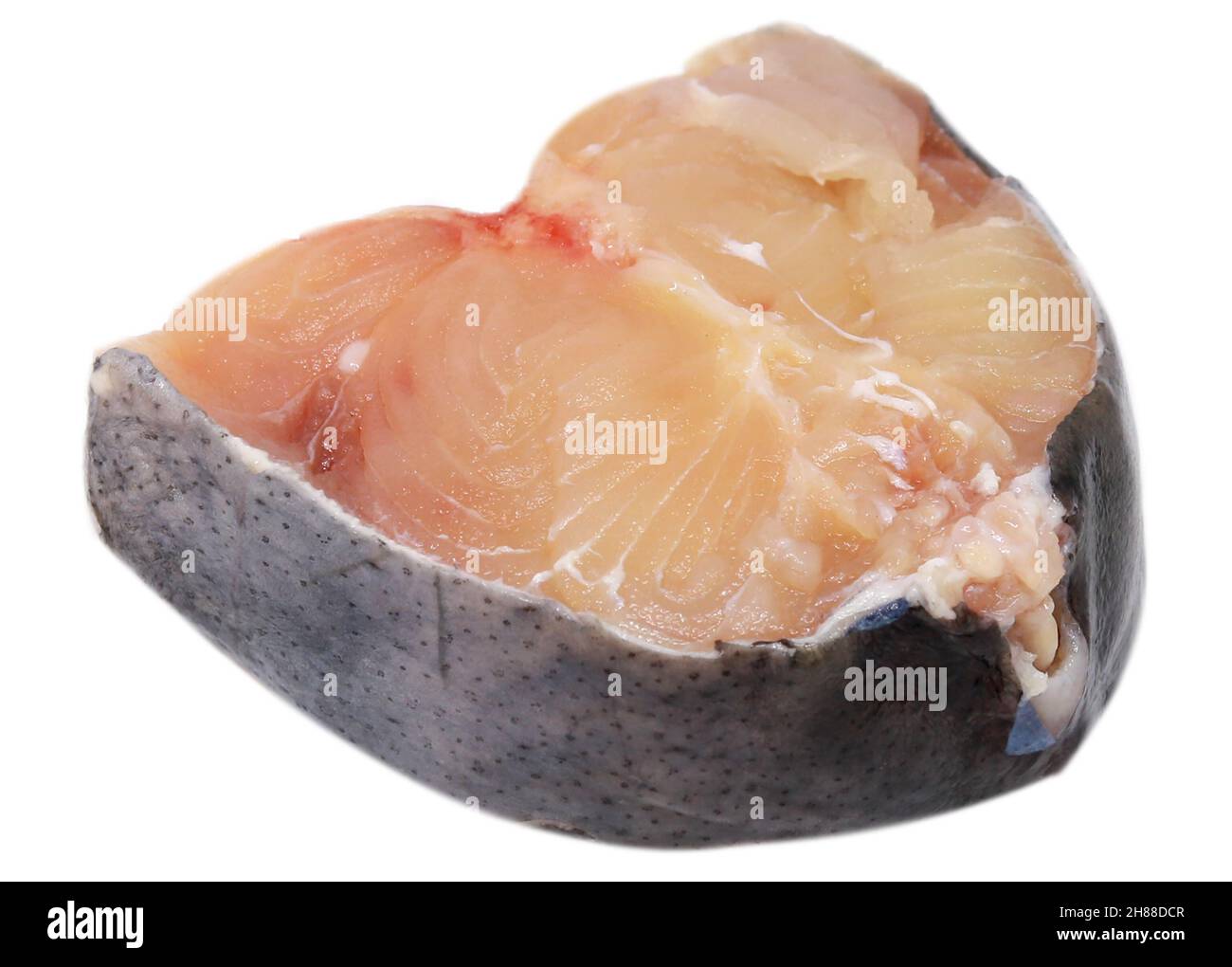 Pangasius fish Banque d'images détourées - Alamy