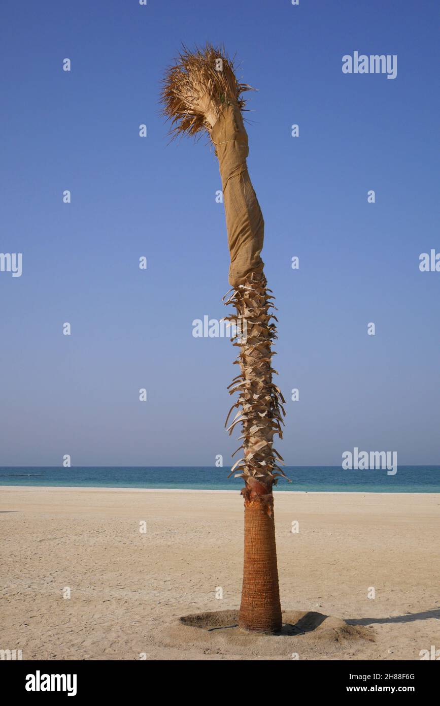 Plage de bilaj al jazayer Banque de photographies et d’images à haute ...
