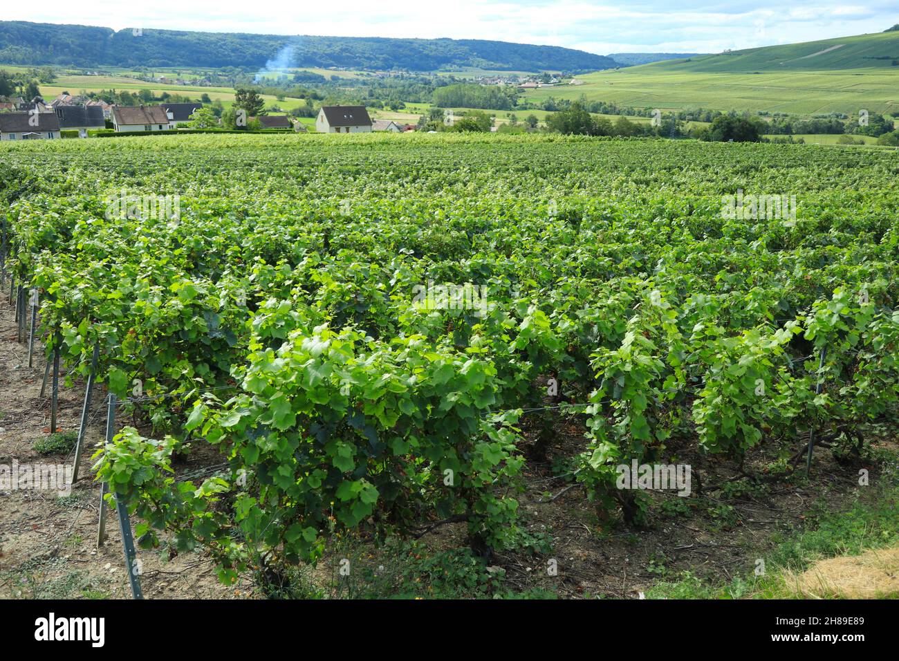 Champagne ardenne Banque de photographies et d’images à haute ...