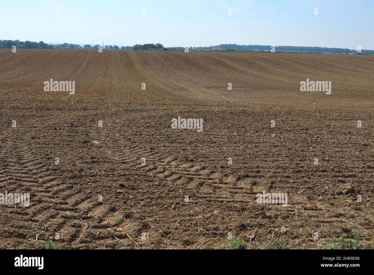 Labour du champ Banque de photographies et d’images à haute résolution ...