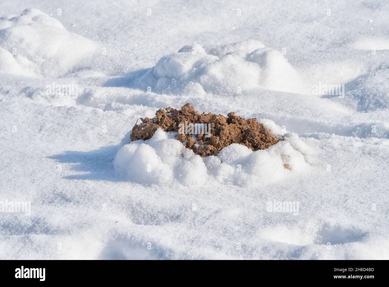 Snow mound Banque de photographies et d’images à haute résolution - Alamy