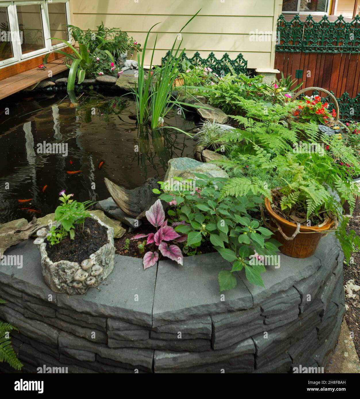 Grand étang à poissons de jardin, fabriqué à partir d'un réservoir d ...