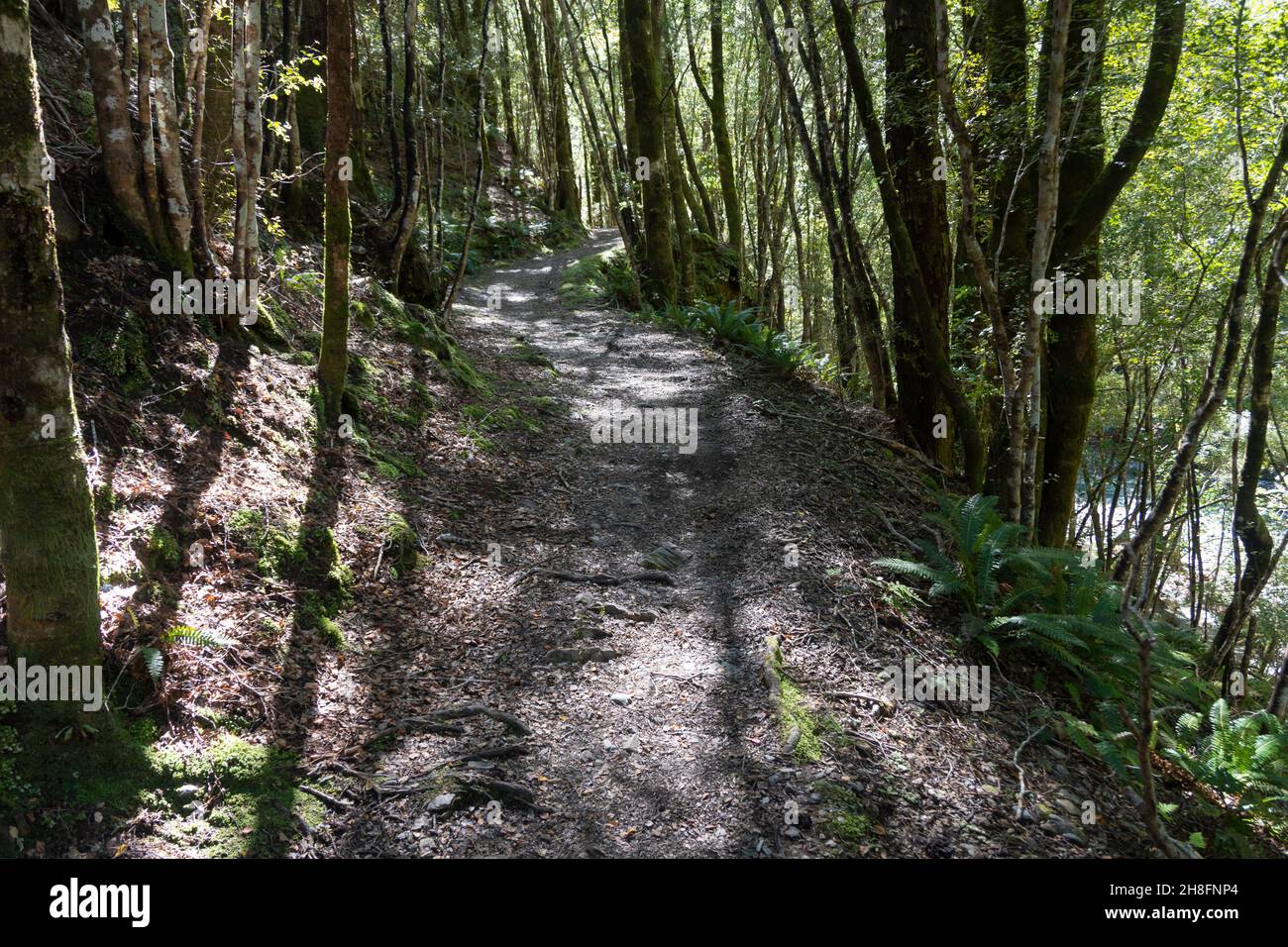 Lyell island Banque de photographies et d’images à haute résolution - Alamy