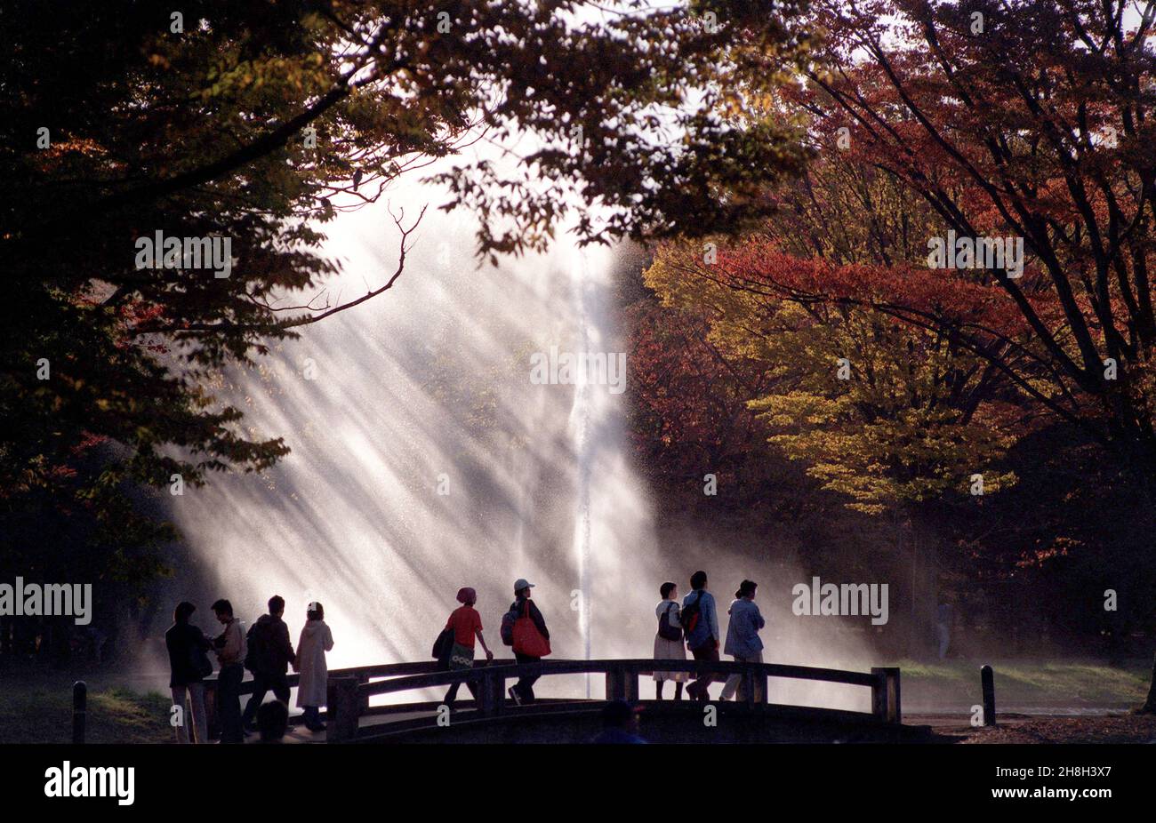 Parc Yoyogi (, Yoyogi K en) est l'un des plus grands parcs de la ville ...