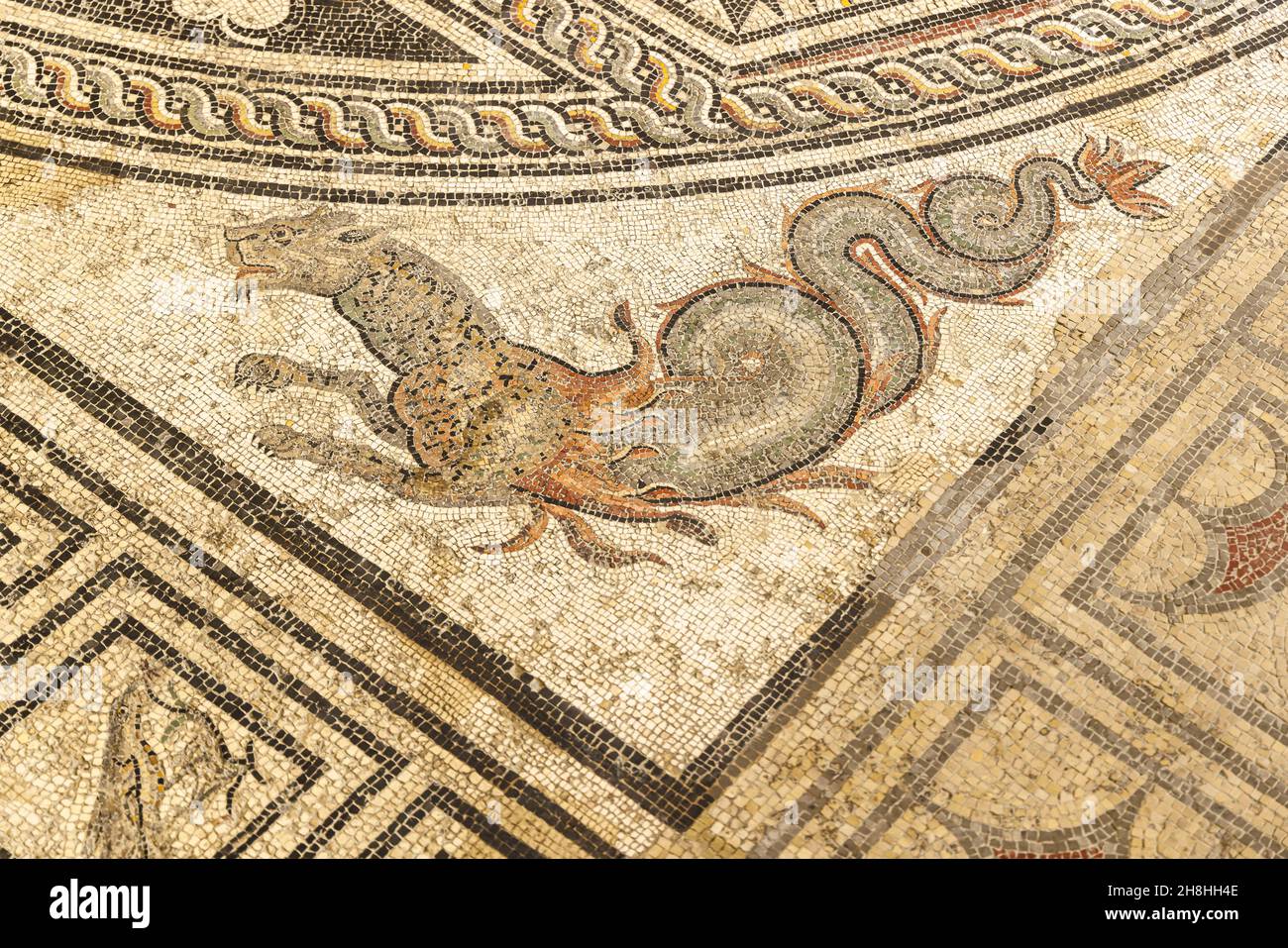 France, Vaucluse, Vaison la Romaine, musée archéologique, mosaïque de ...