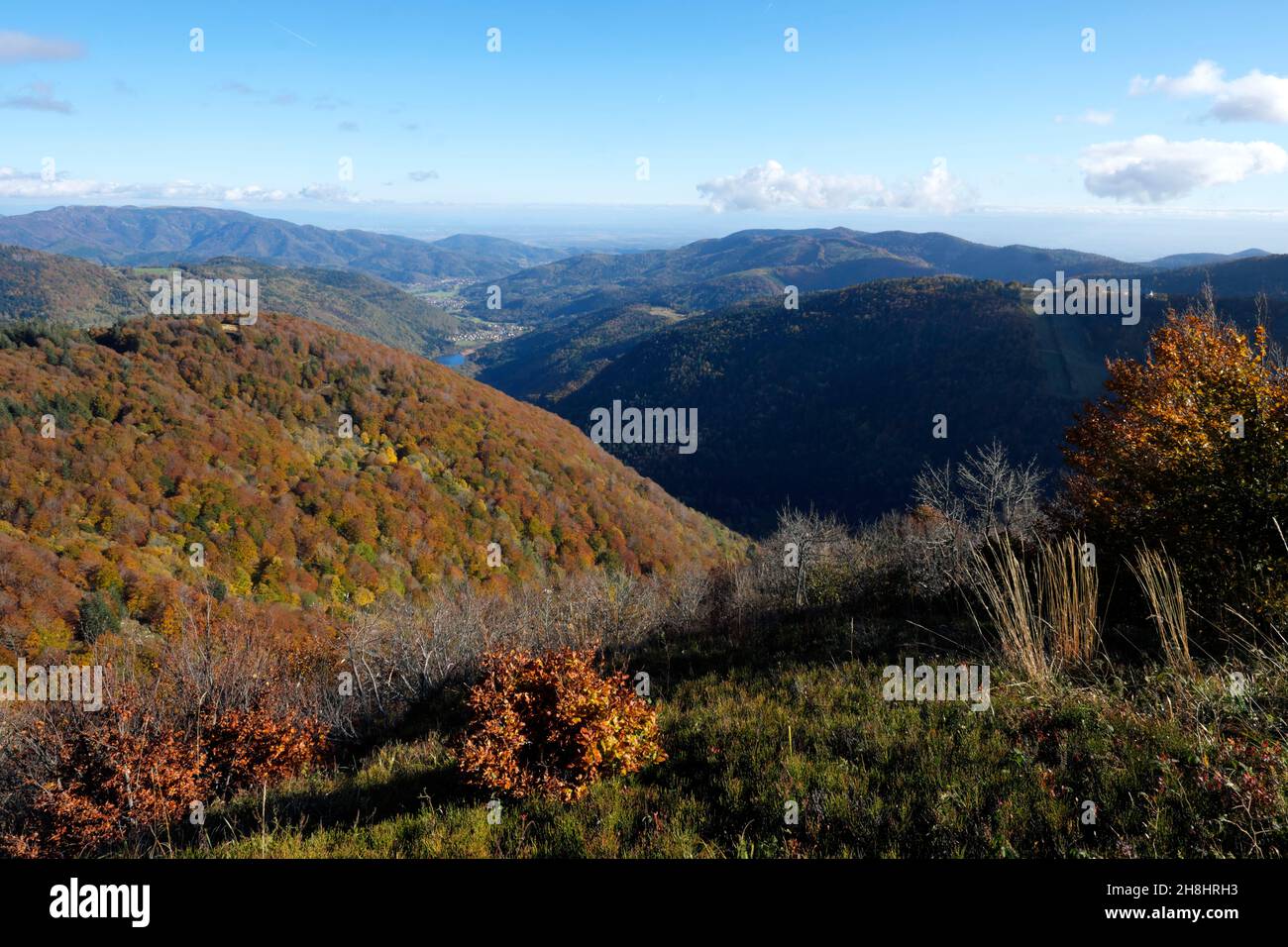 France, Haut Rhin, ballon d'Alsace, du sommet, cirque glaciaire de l'Hinteralfeld, lac et ...