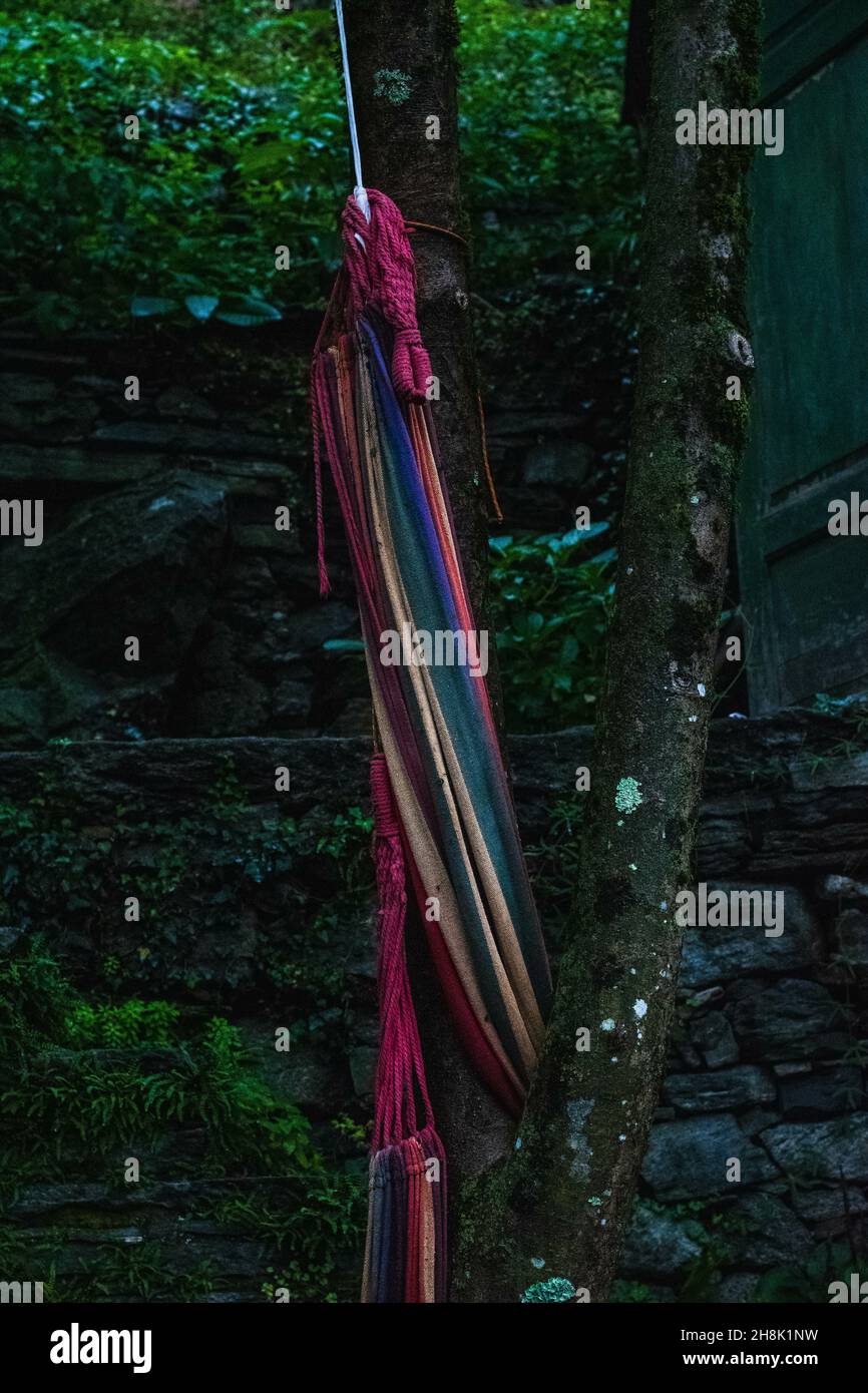 Plan vertical d'un hamac sur un arbre dans un gar Photo Stock - Alamy