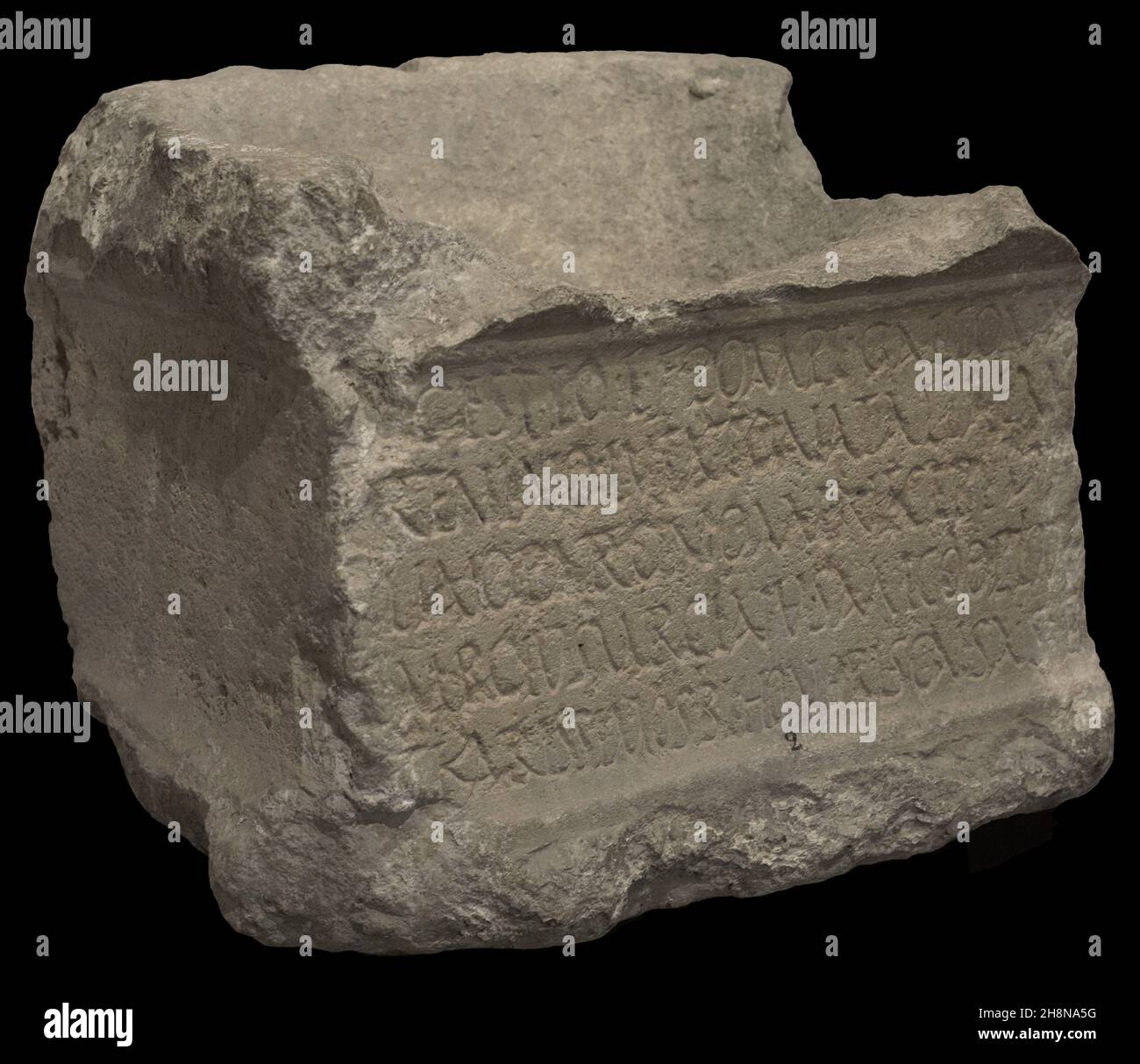 Cestius gallus Banque de photographies et d’images à haute résolution ...