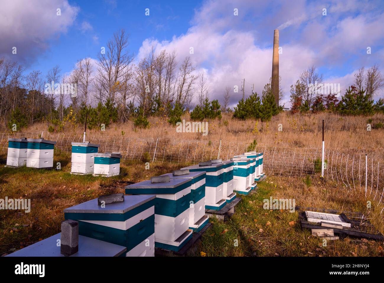 Bob dewar Banque de photographies et d’images à haute résolution - Alamy