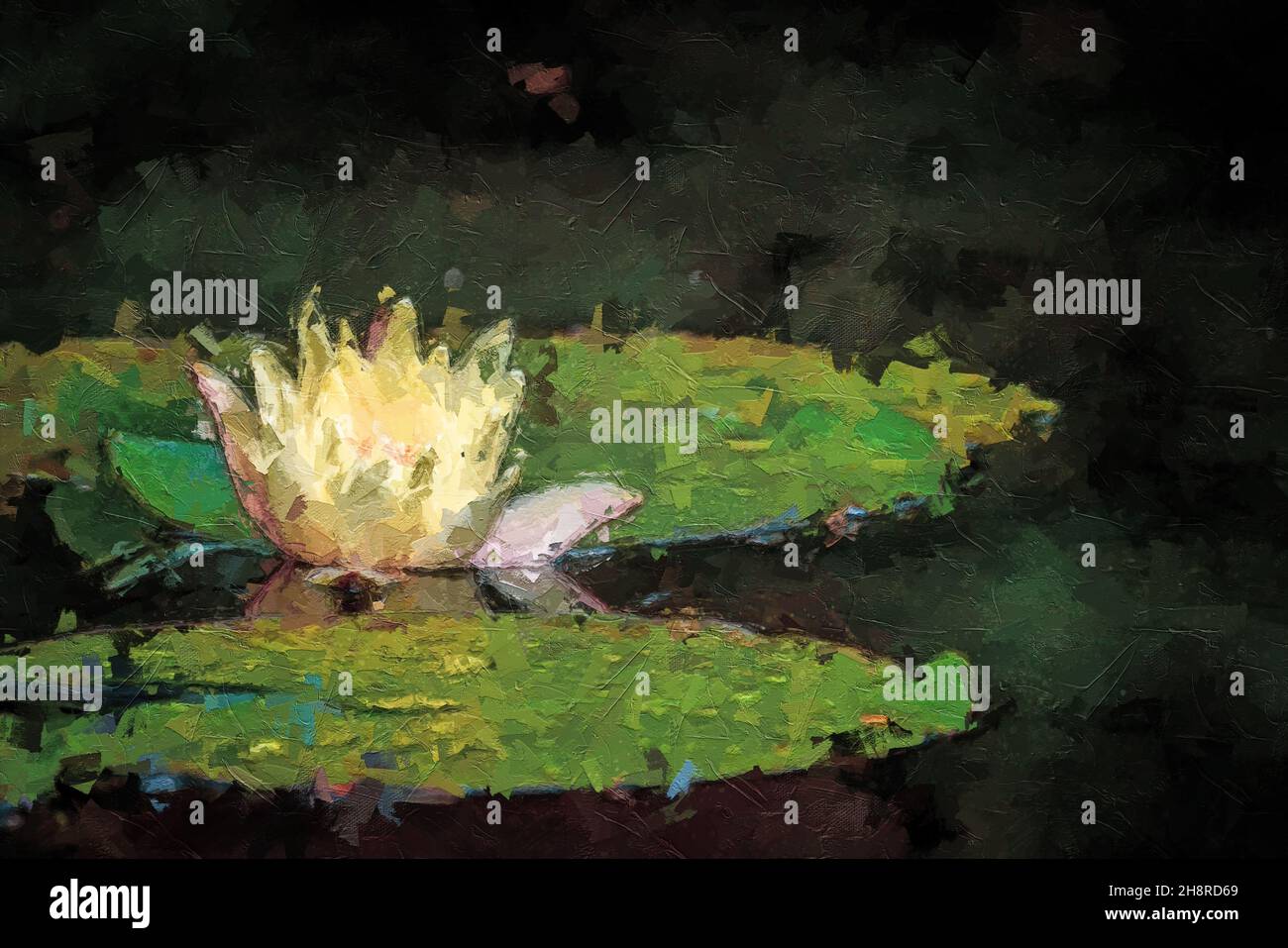 Peinture de nénuphar blanc Banque de photographies et d’images à haute ...