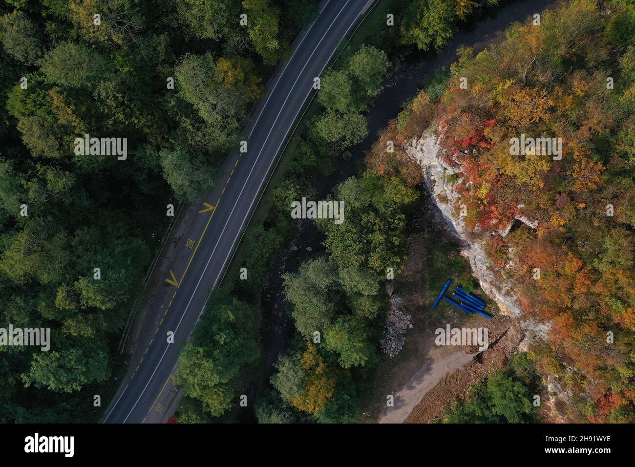 Vue aérienne d'une route incurvée et d'une forêt automnale Photo Stock ...