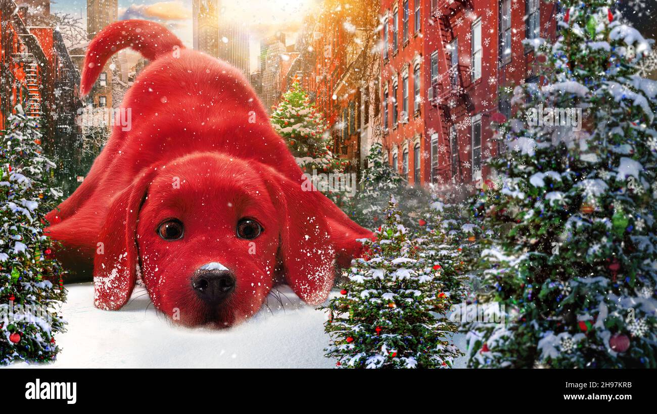 Clifford le grand chien rouge Banque de photographies et d’images à ...